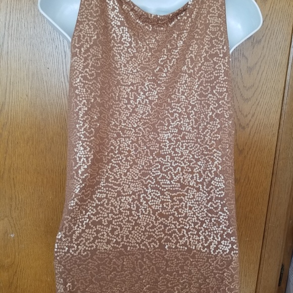 Talbots | Tops | Talbot Shimmery Bronze Tank Top Size Small | Poshmark
